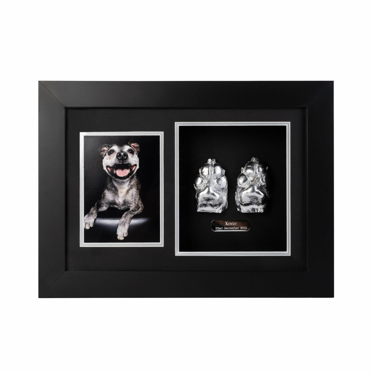 Framed Paw Casting - Double Paws & Photo | Lawnswood